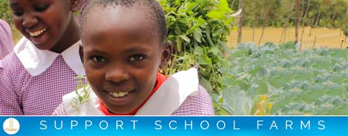 School Farming Projects